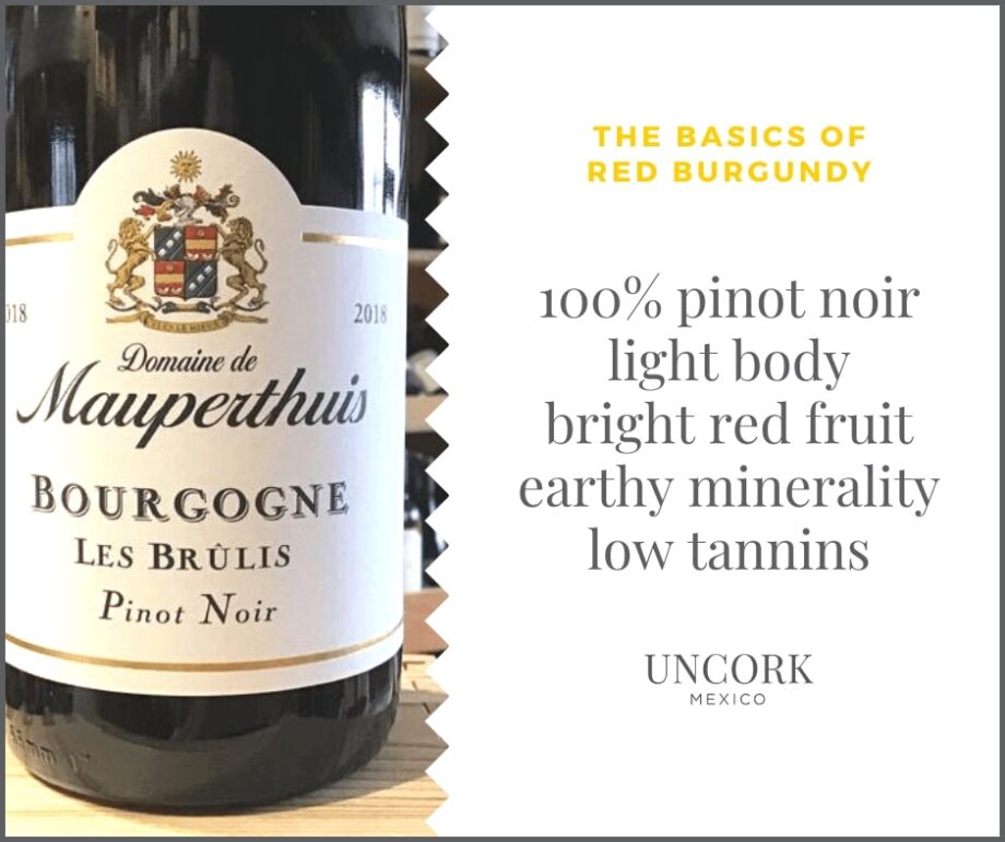 7 French Red Wines for Beginners | Uncork Mexico