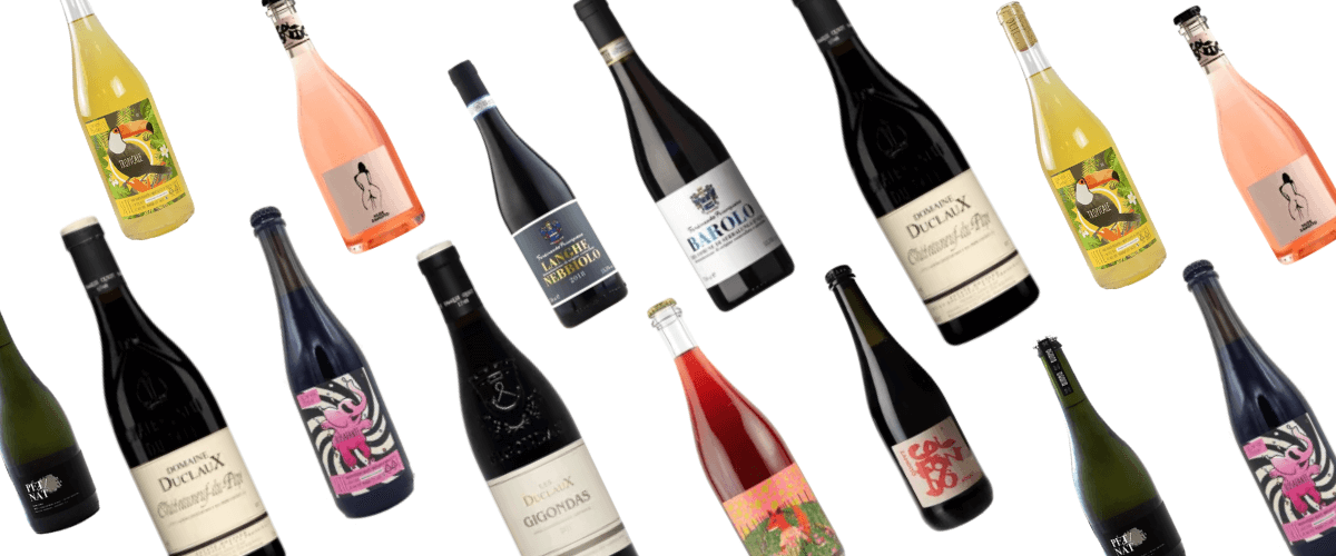new wines january 2023 | Uncork Mexico