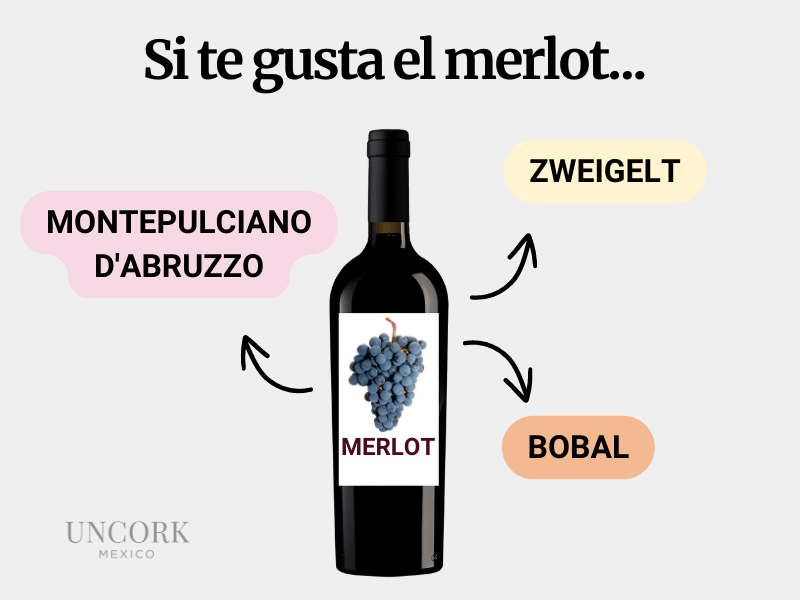 10 Tipos De Vino Tinto Sorprendentes Que Debes Probar!