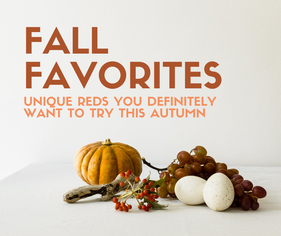 Fall Favorites: Unique Red Wines Perfect for Autumn | Uncork Mexico