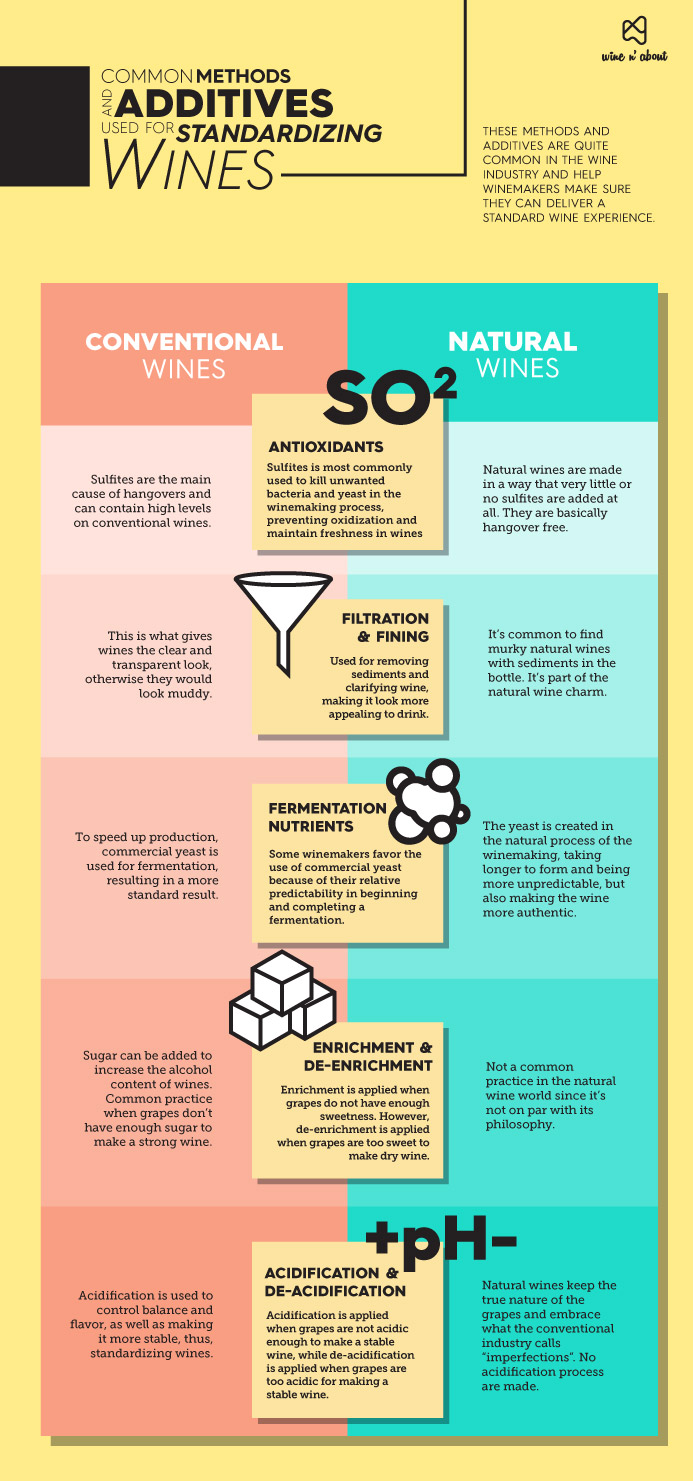 Tipos de vino tinto (según uva, vinificación, cuerpo) | Uncork Mexico